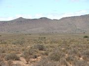 Commandodrift Nature Resort Trip report, Oviston to Kommandodrift ...