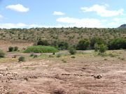 Commandodrift Nature Resort Trip report, Oviston to Kommandodrift ...